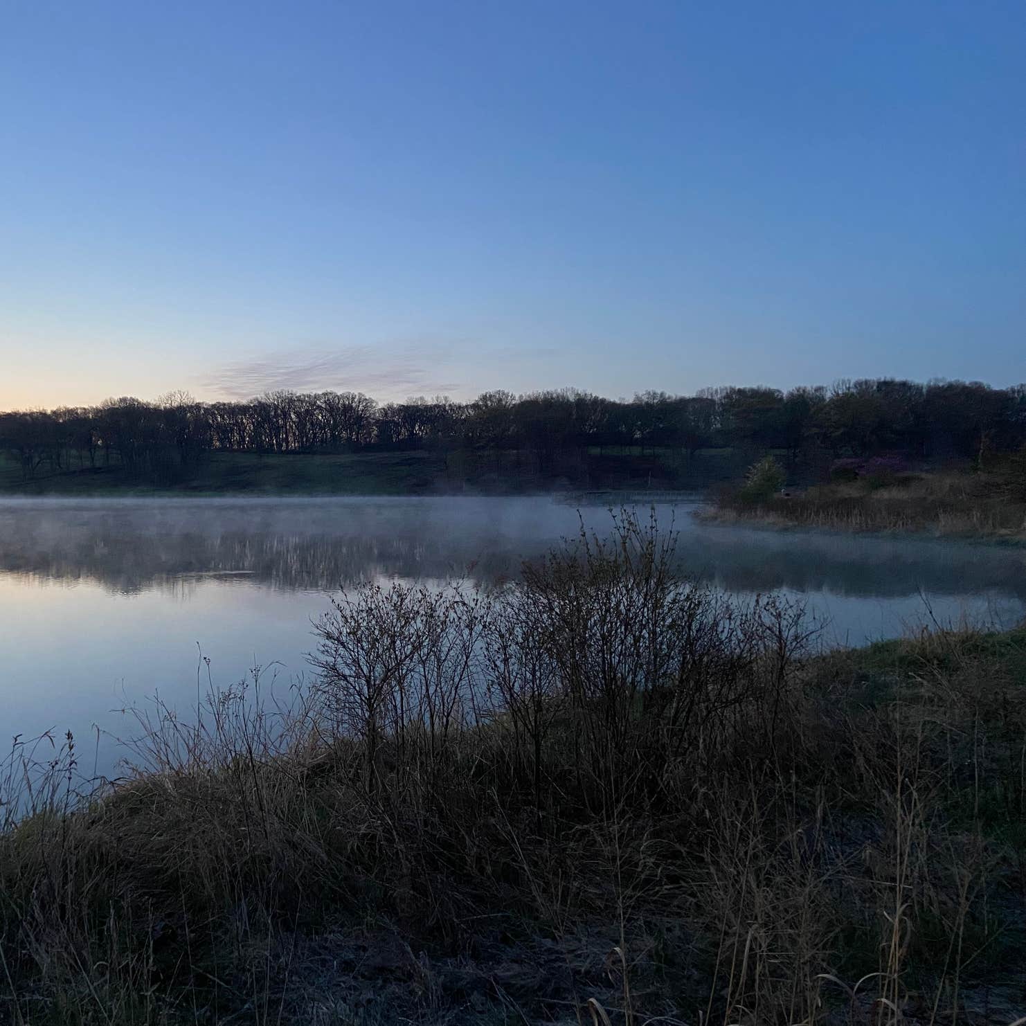 Camp Bullfrog Lake | Willow Springs, Illinois