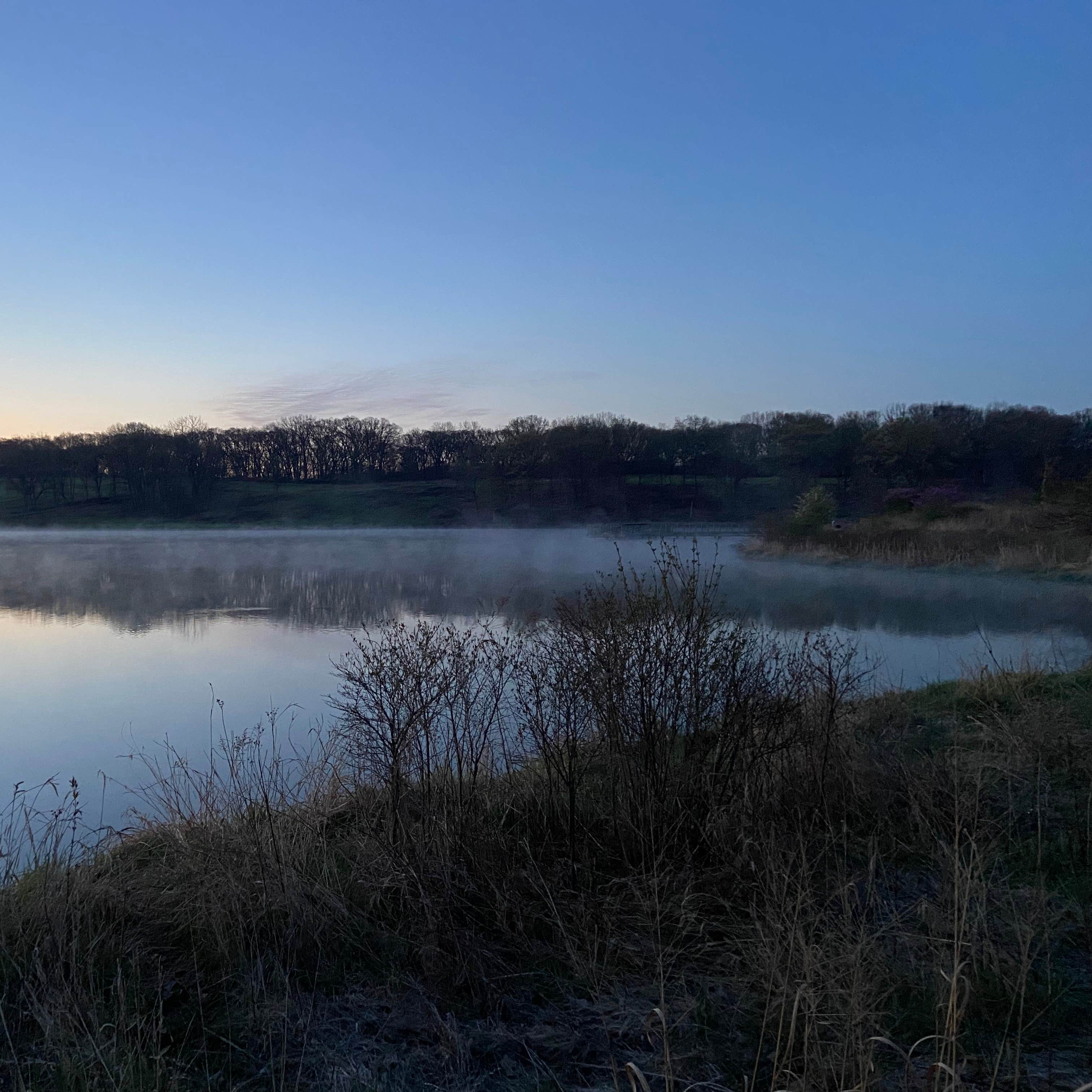 Camp Bullfrog Lake | Willow Springs, Illinois