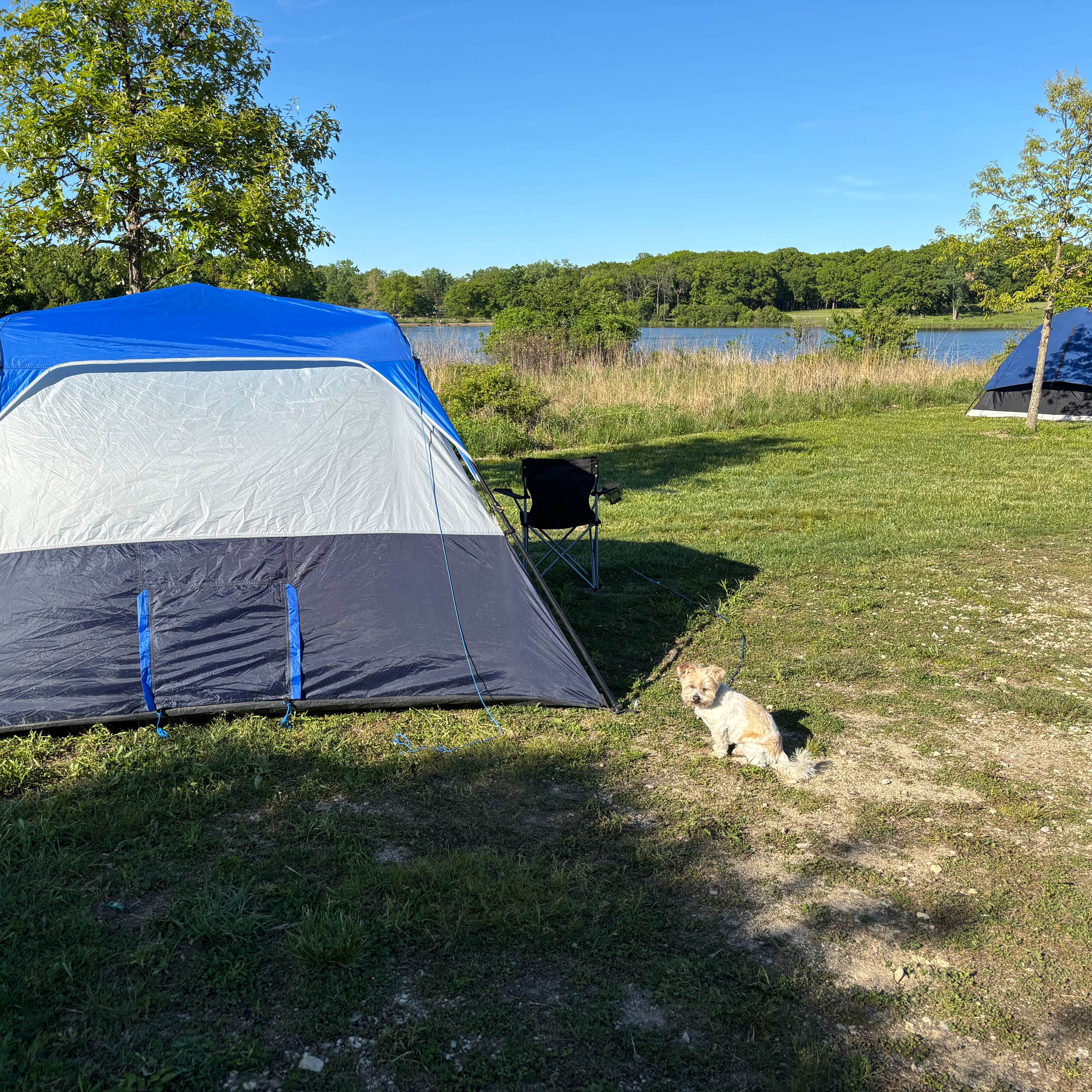 Camp Bullfrog Lake | Willow Springs, Illinois