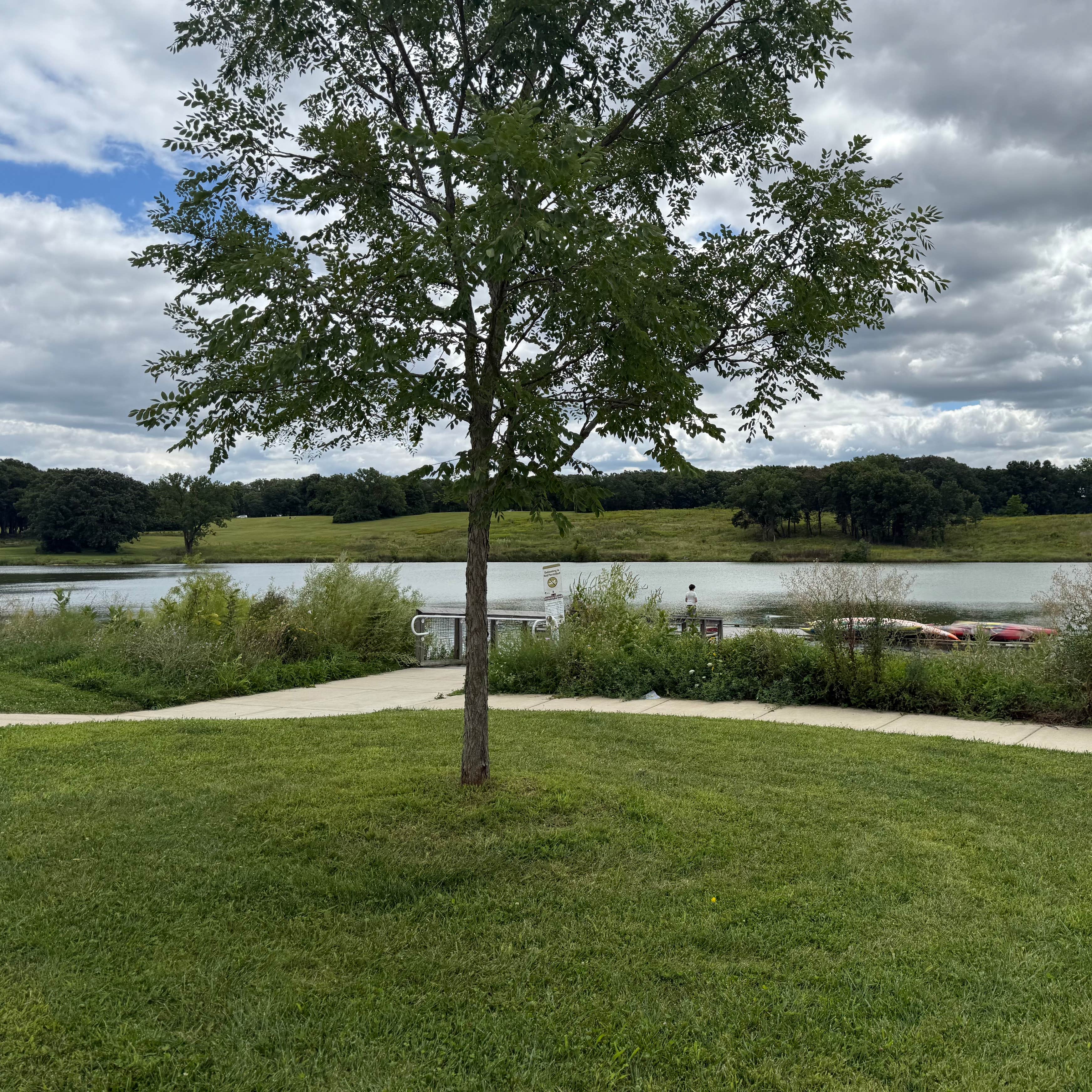 Camp Bullfrog Lake | Willow Springs, Illinois