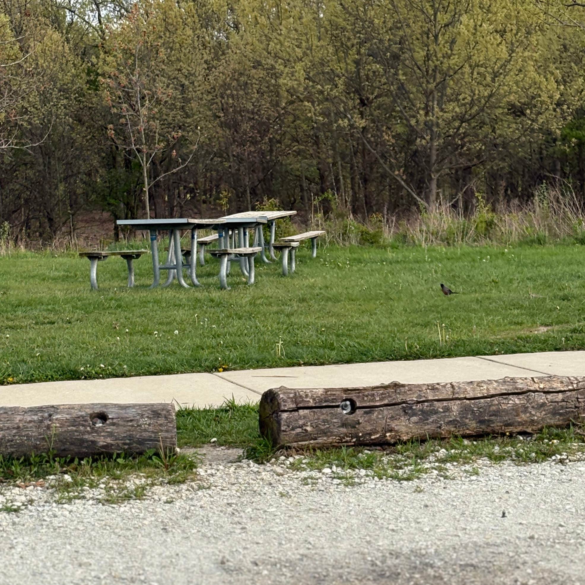 Camp Bullfrog Lake | Willow Springs, Illinois