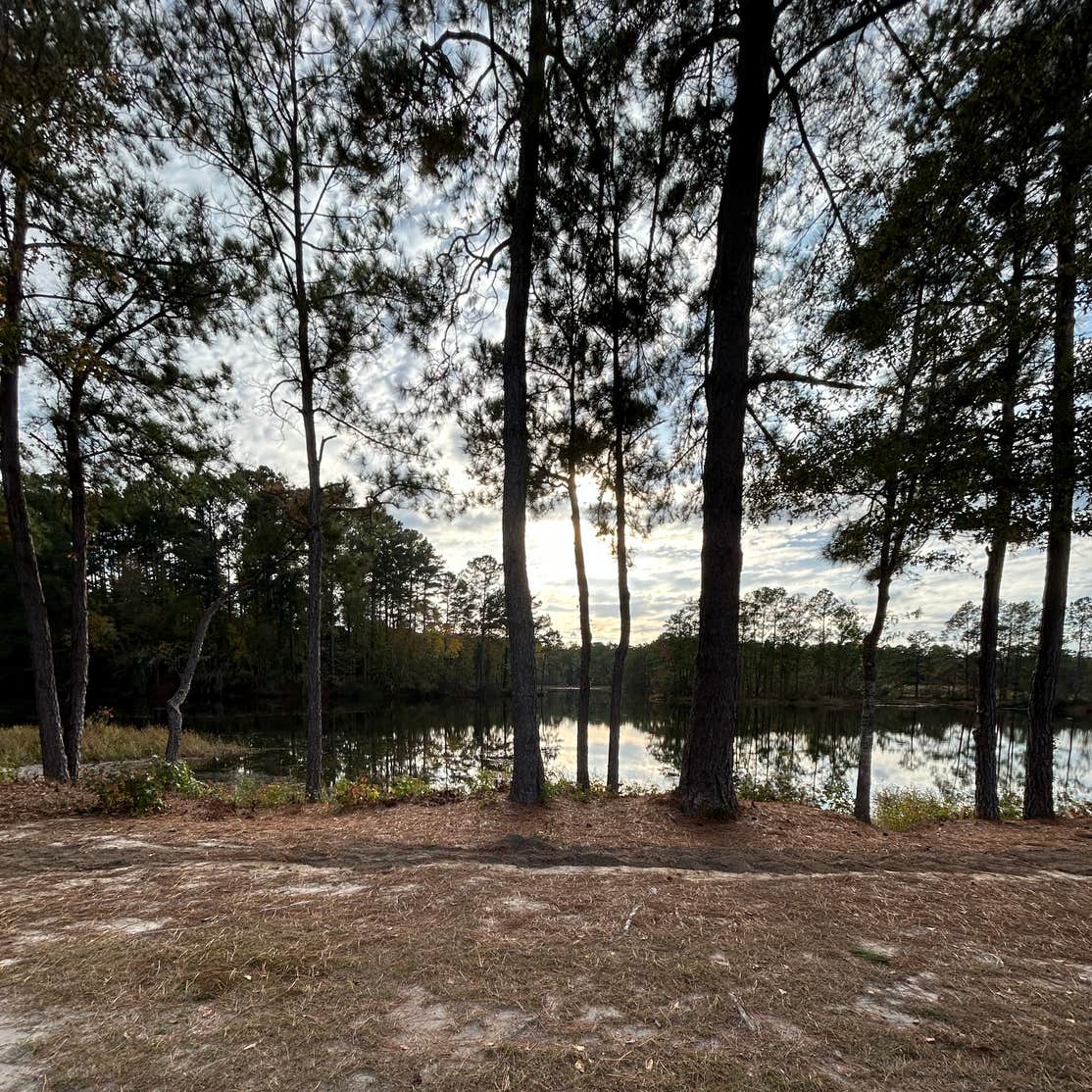 Lake Jasper RV Park | Hardeeville, South Carolina