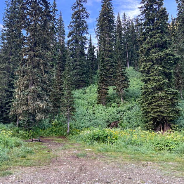 Camp Misery Trailhead | Bigfork, Montana