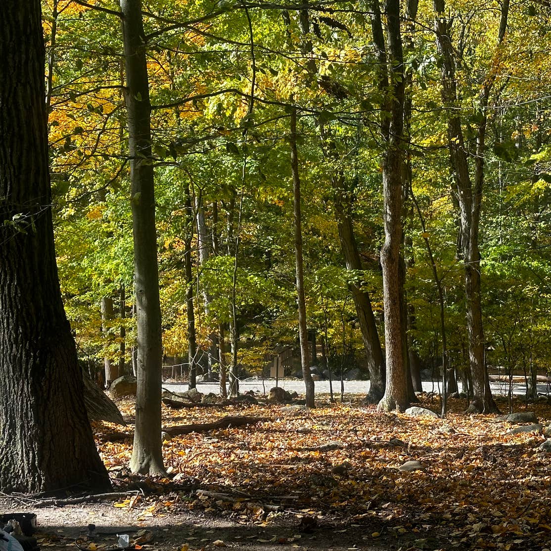 Campgaw Mountain Reservation | Ramsey, New Jersey