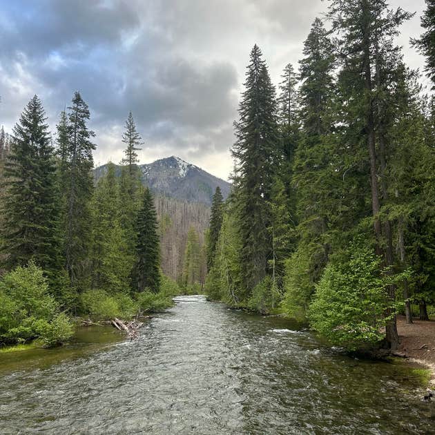 Soda Springs Camping | Packwood, Washington