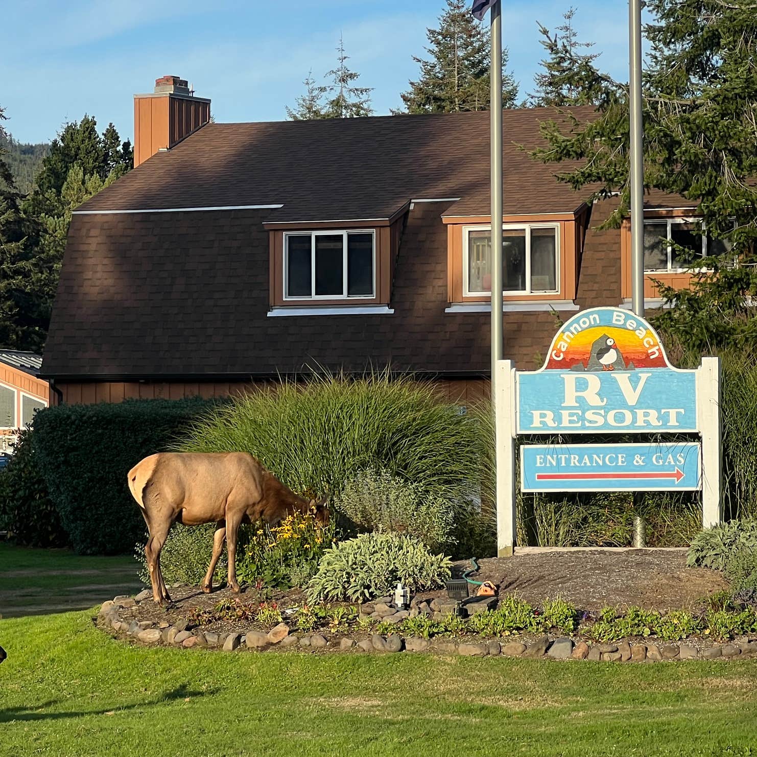 Cannon Beach RV Resort | Cannon Beach, Oregon