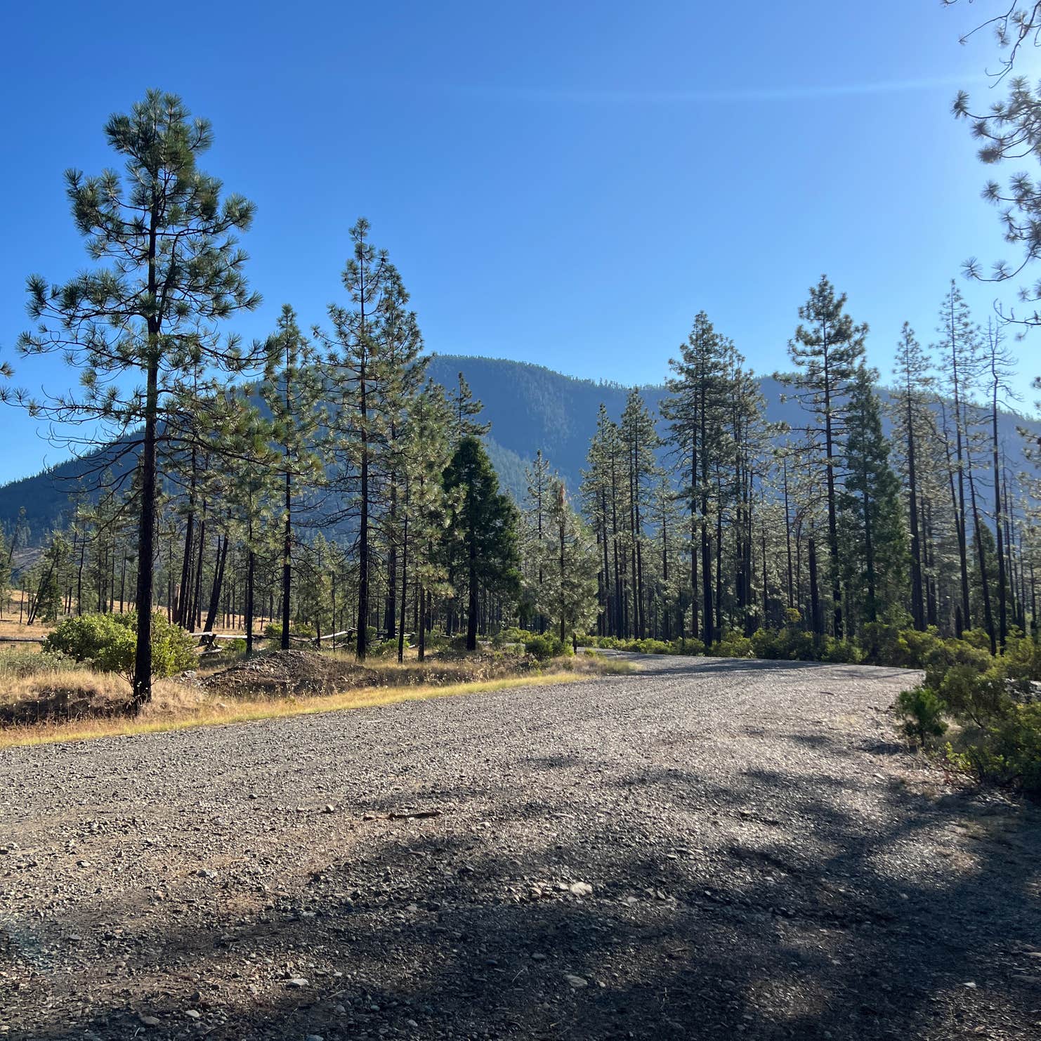 Canyon Gulch by Eight Dollar Moutain Camping | Kerby, Oregon