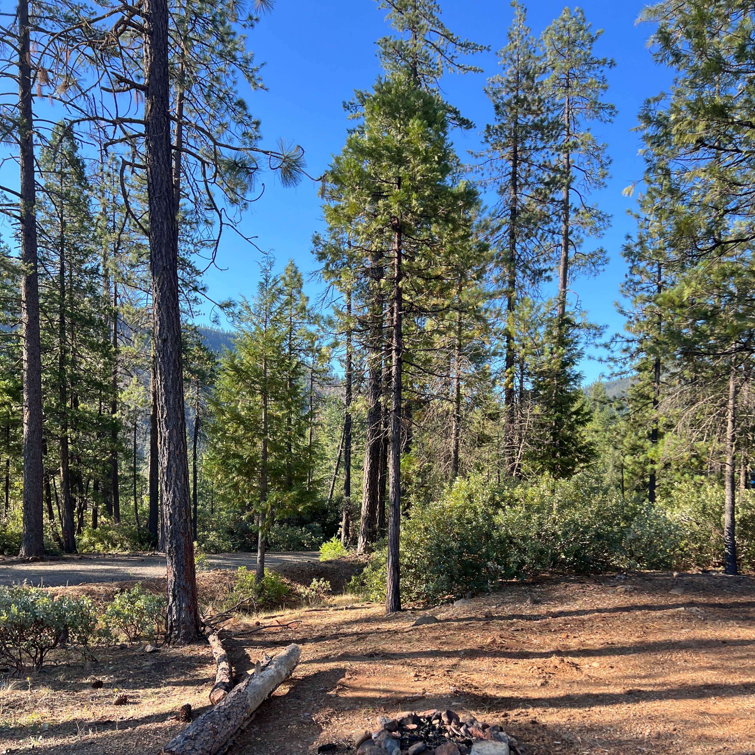Canyon Gulch by Eight Dollar Moutain Camping | Kerby, Oregon