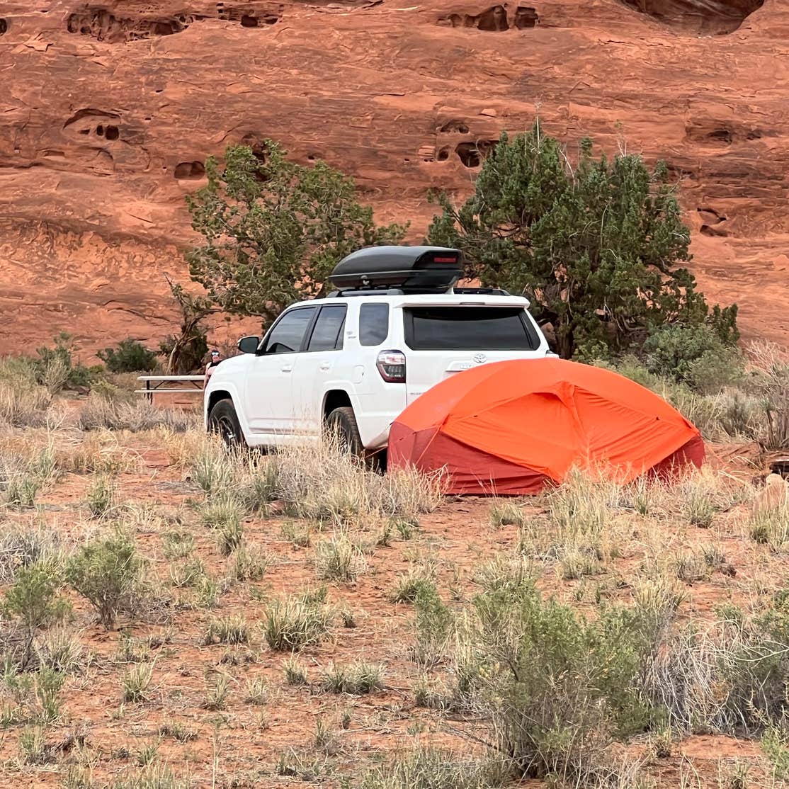 Needles Outpost Campground | La Sal, Utah