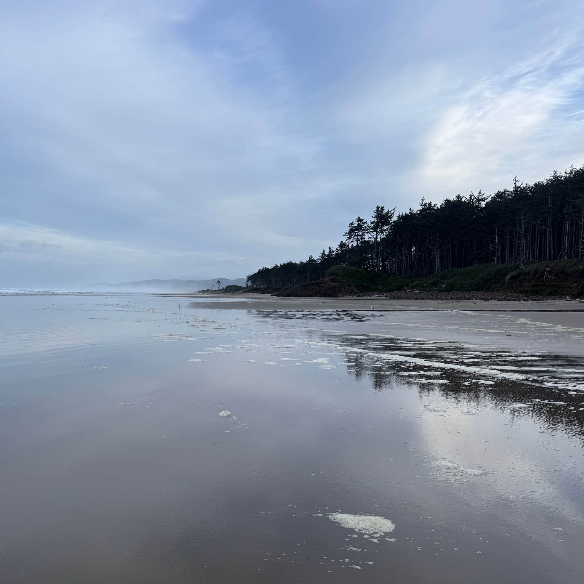 cape lookout Camping | Netarts, Oregon