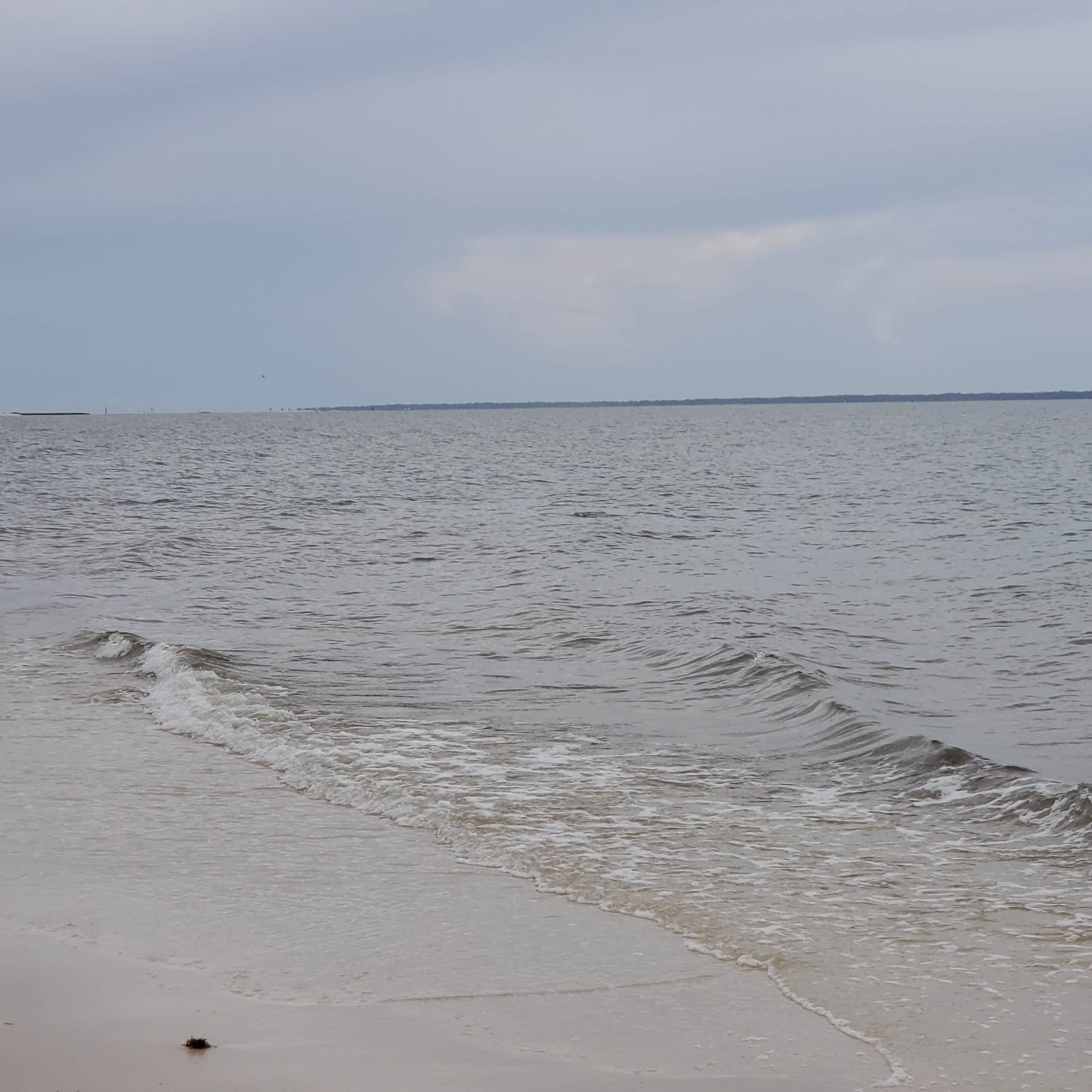 Carrabelle Beach RV Resort | Carrabelle, Florida