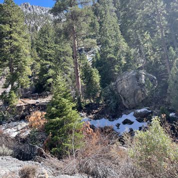 Carpenter Canyon Camping | Mount Charleston, Nevada