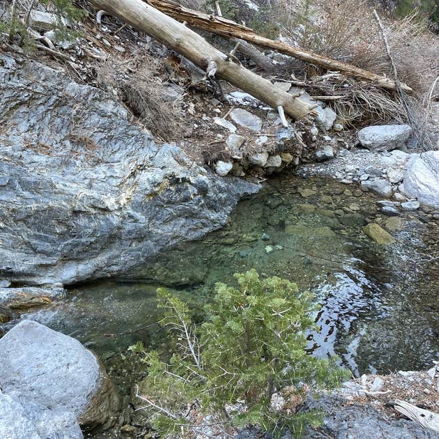 Carpenter Canyon Camping | Mount Charleston, Nevada