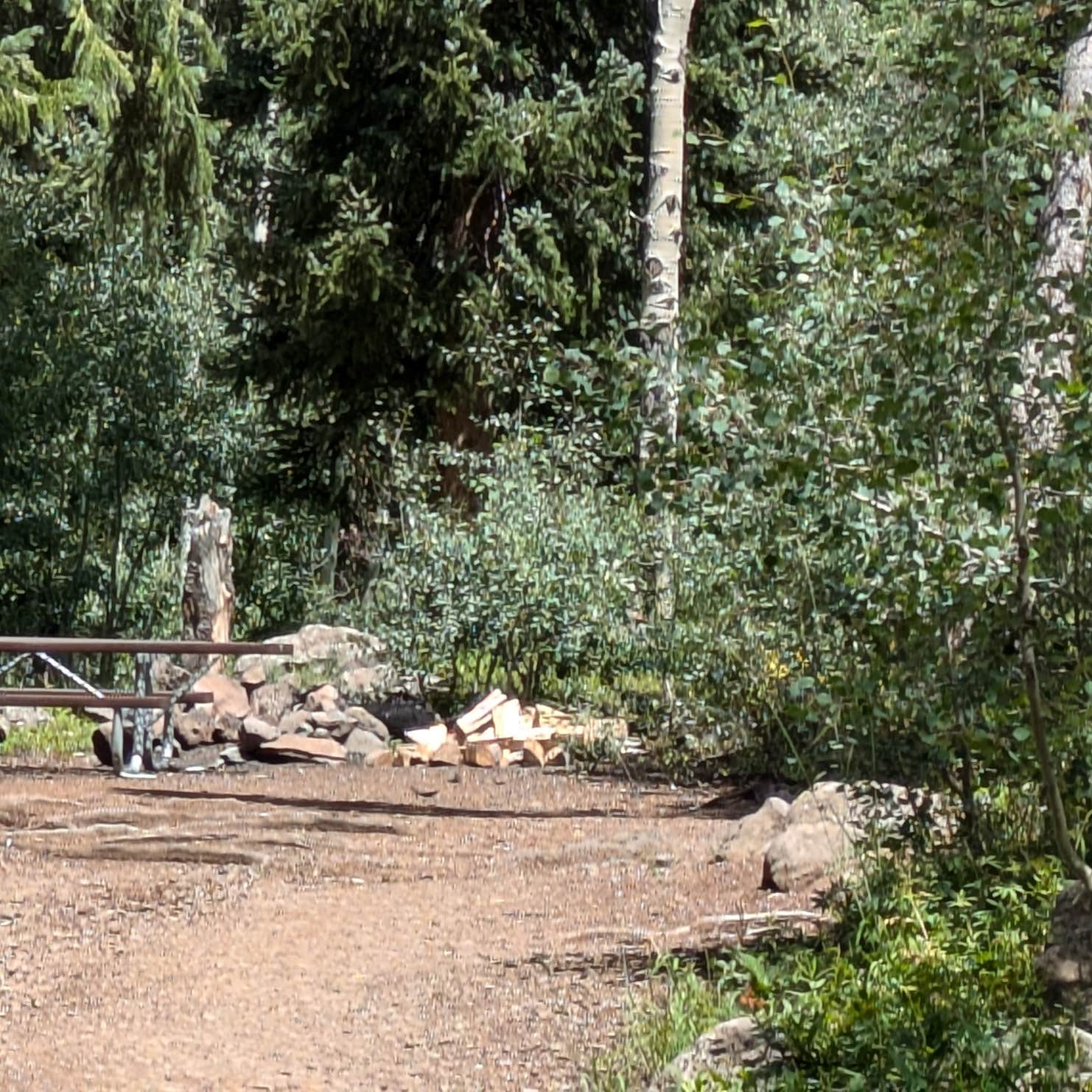 Carson Lake Recreation Area Camping | Mesa Lakes, Colorado