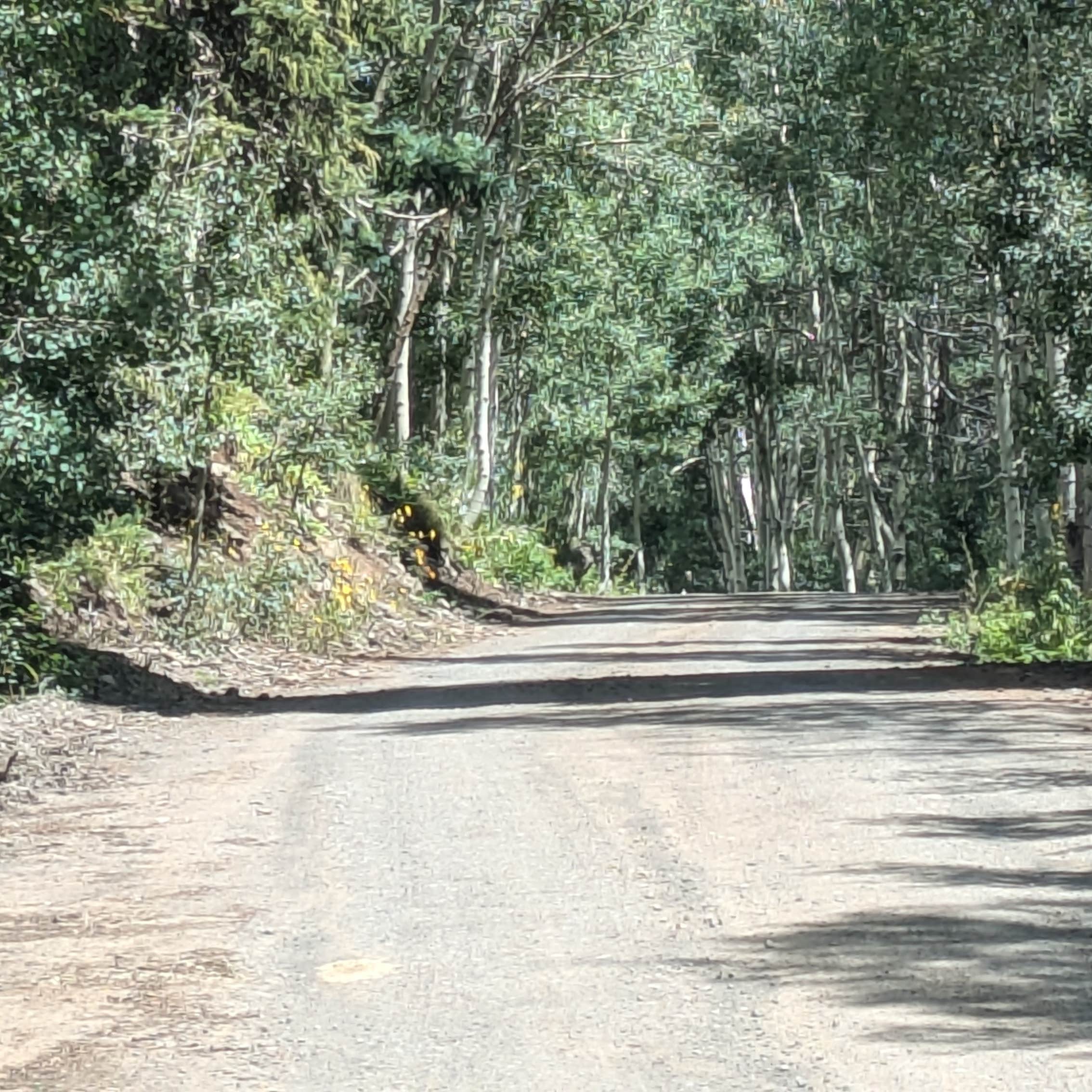 Carson Lake Recreation Area Camping | Mesa Lakes, Colorado