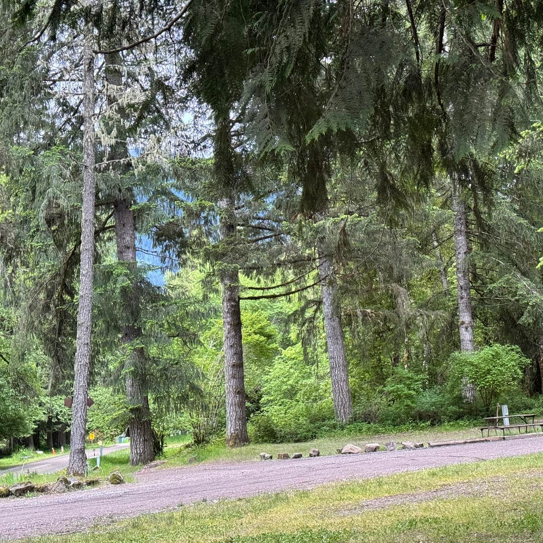 Cascade Peaks Family Campground | Packwood, Washington