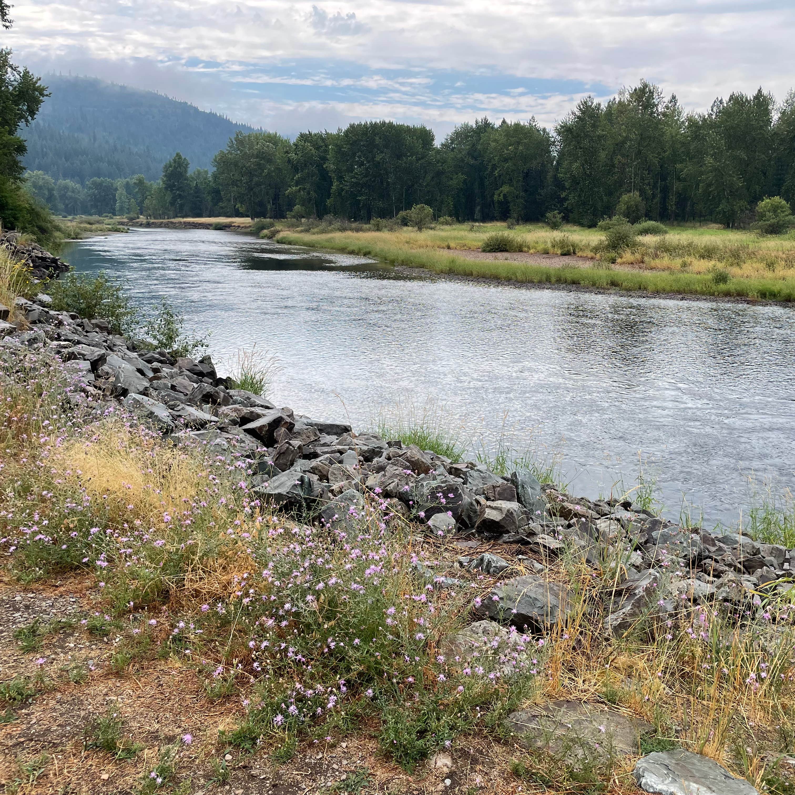 CDA River RV, Riverfront Campground | Cataldo, Idaho