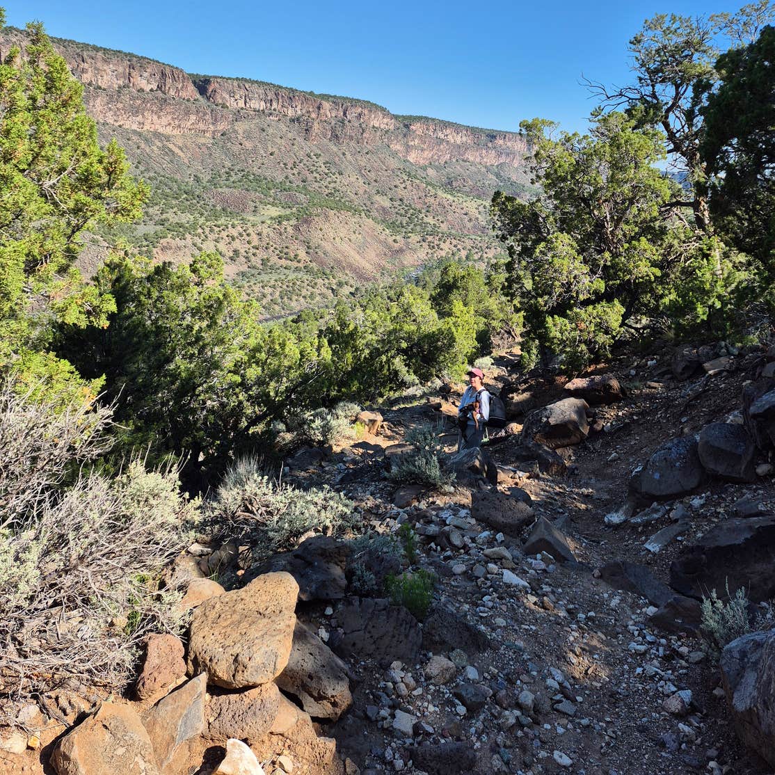 Cebolla Mesa Camping | San Cristobal, New Mexico