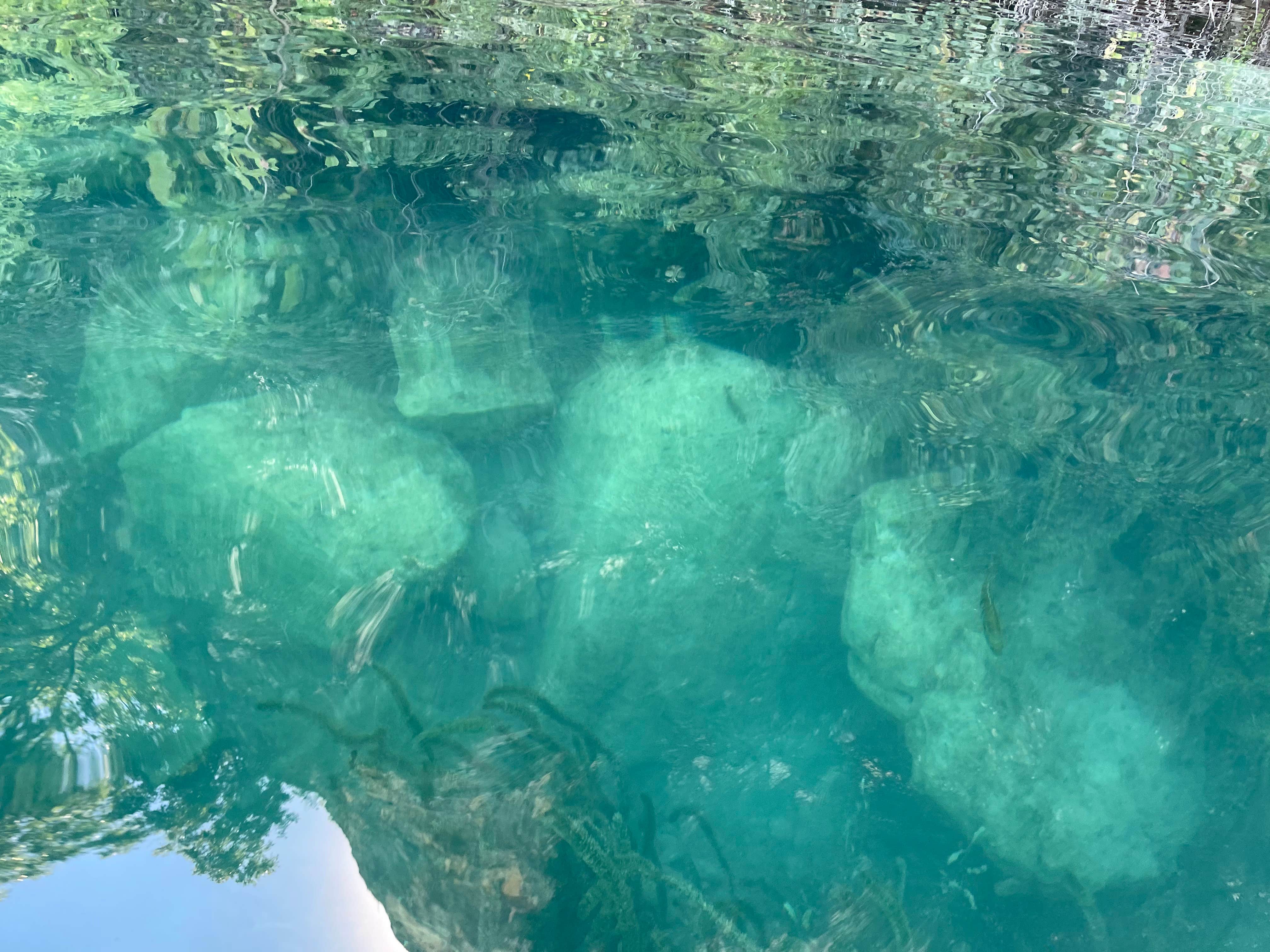 Chalk Bluff River Resort Camping | Uvalde, Texas