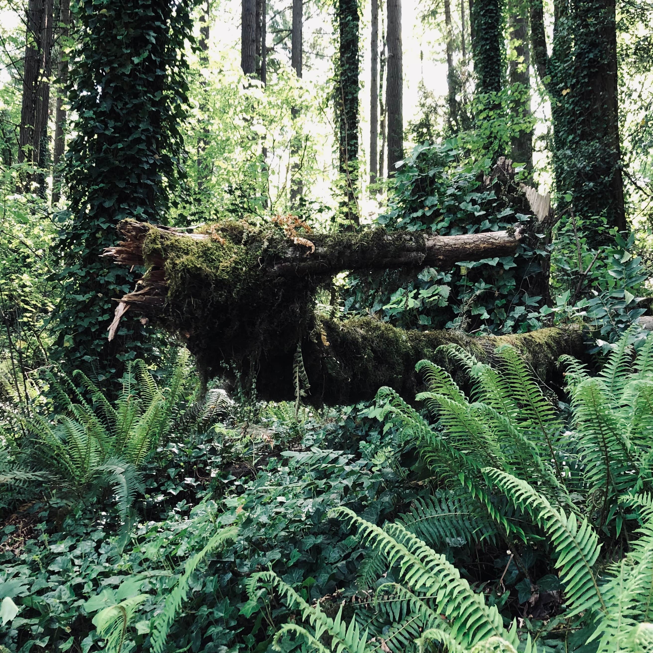Champoeg State Heritage Area Campground | Donald, Oregon
