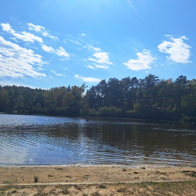 Cheaha State Park CCC Primitive Campground | Munford, Alabama
