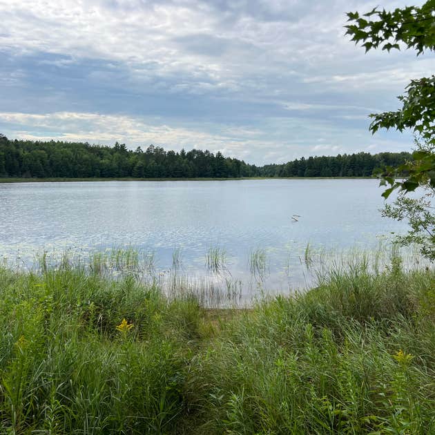 Emily Lake NF Campground | Lac du Flambeau, Wisconsin