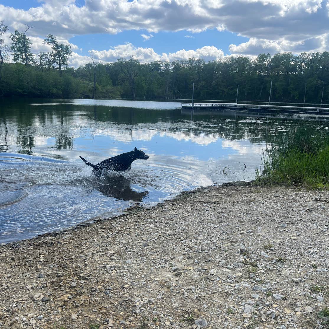 Chester Woods Patk Camping | Marion, Minnesota