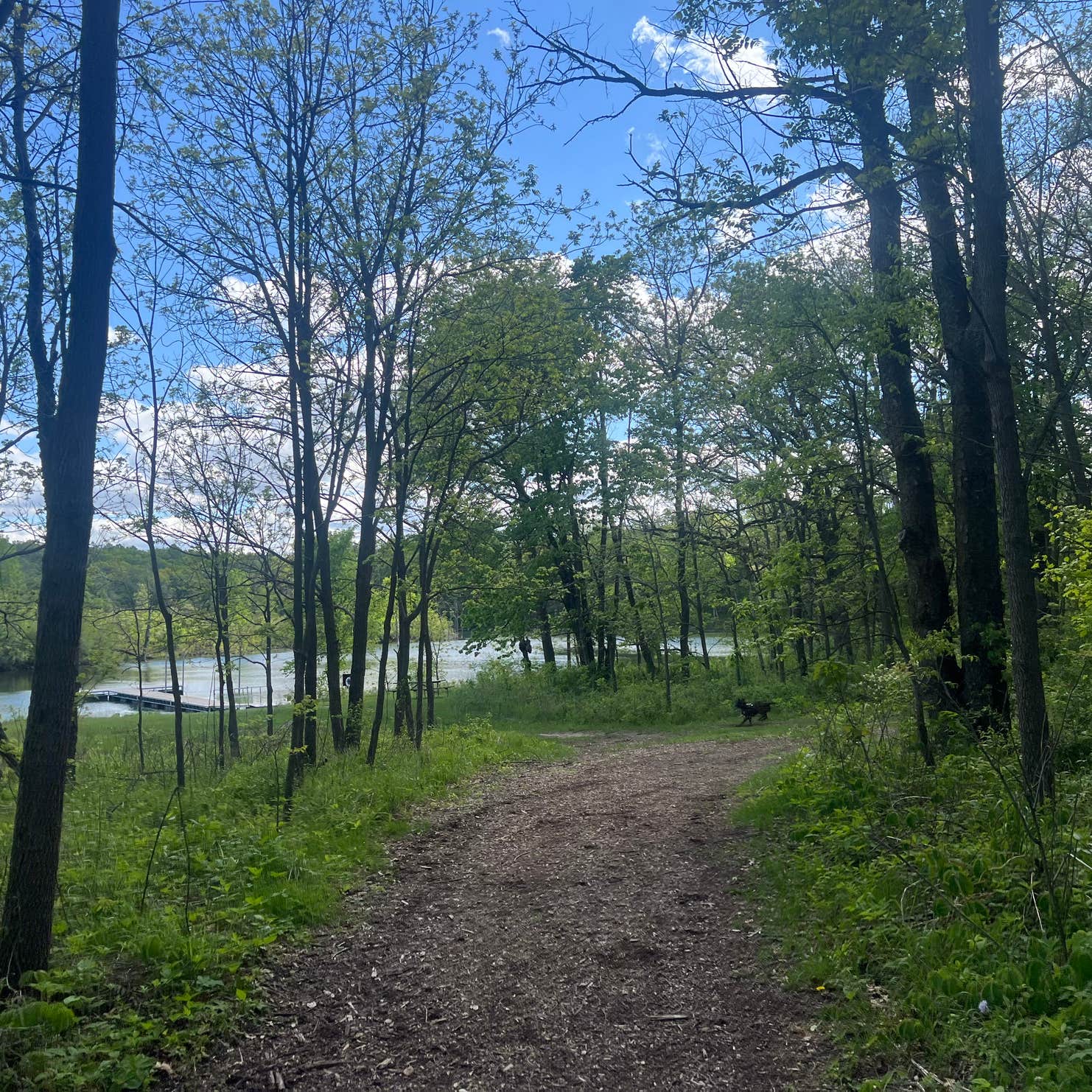 Chester Woods Patk Camping | Marion, Minnesota