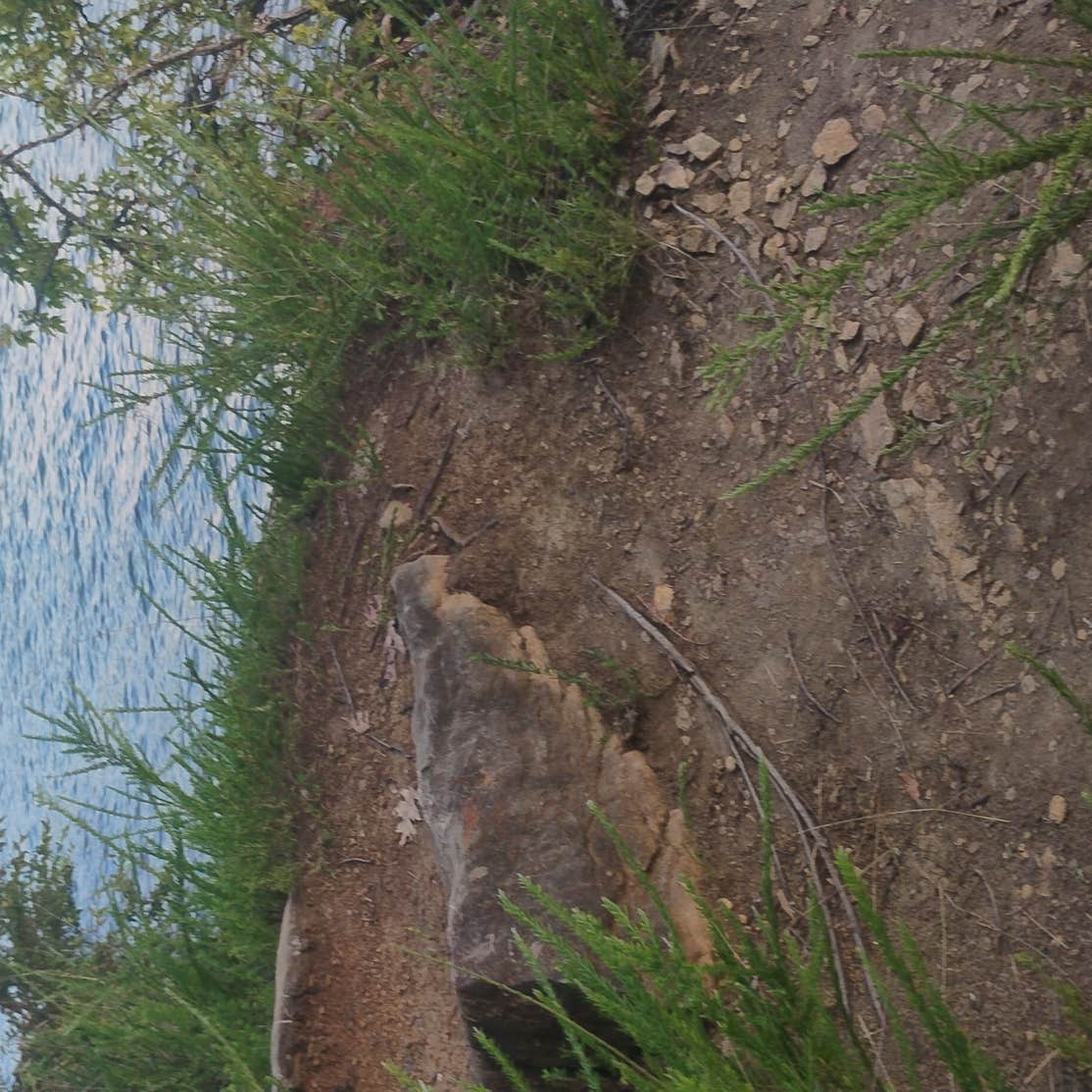 Chickamauga Battlefield Group Campground — Chickamauga & Chattanooga ...