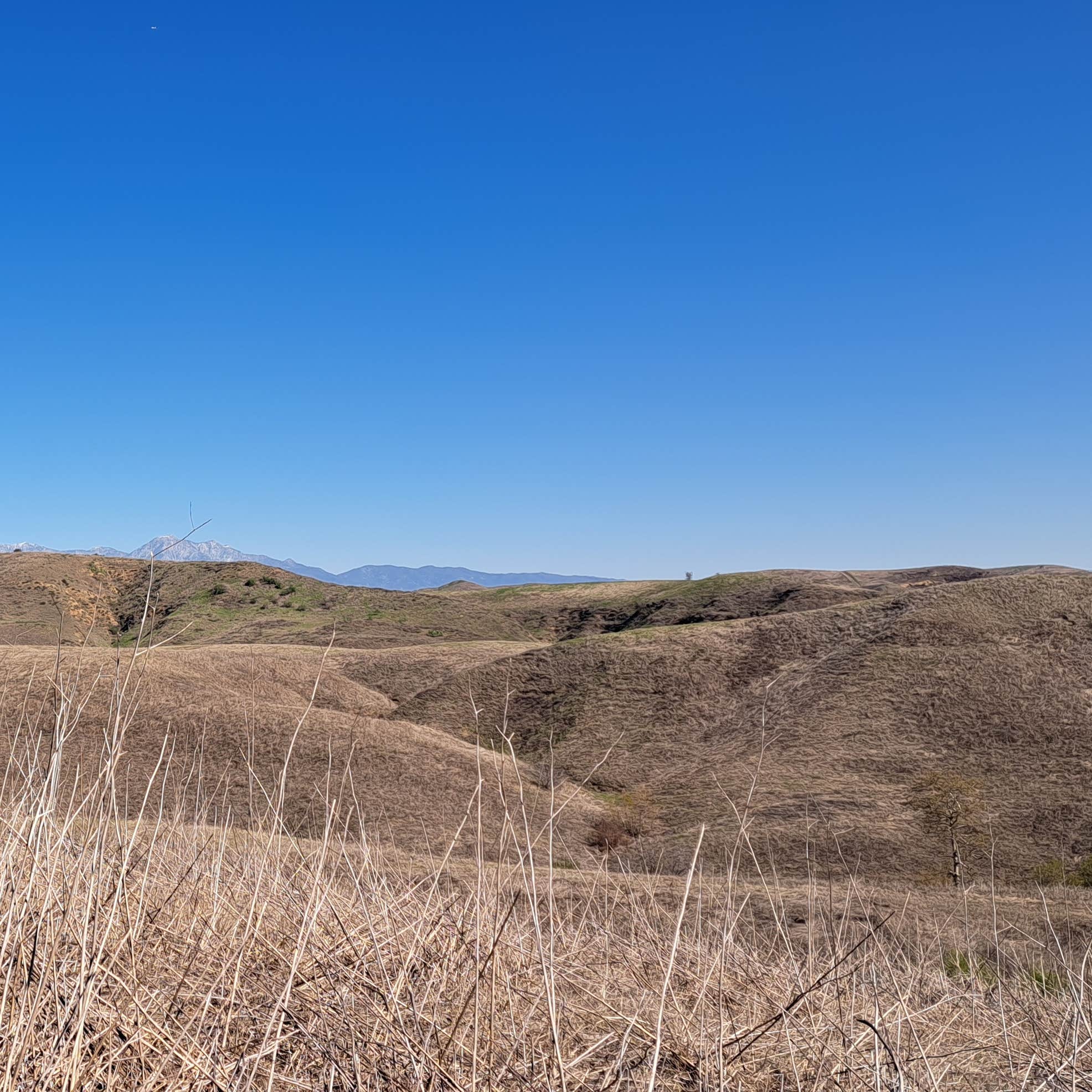 Rolling M. Ranch Campground — Chino Hills State Park | Chino Hills ...