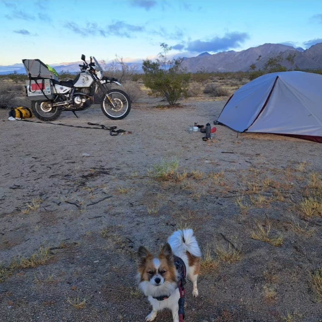 Chiriaco Summit Dry Camp Area | Chiriaco Summit, CA