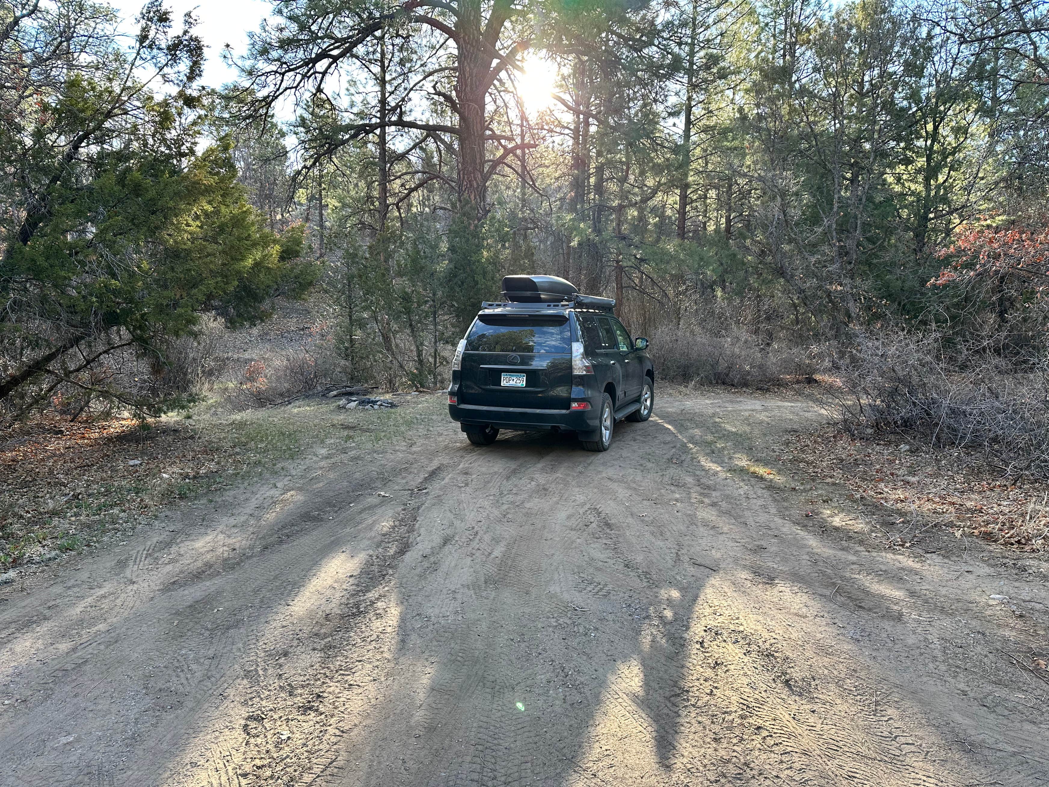 Cibola National Forest Lobo Canyon Campground | Grants, NM
