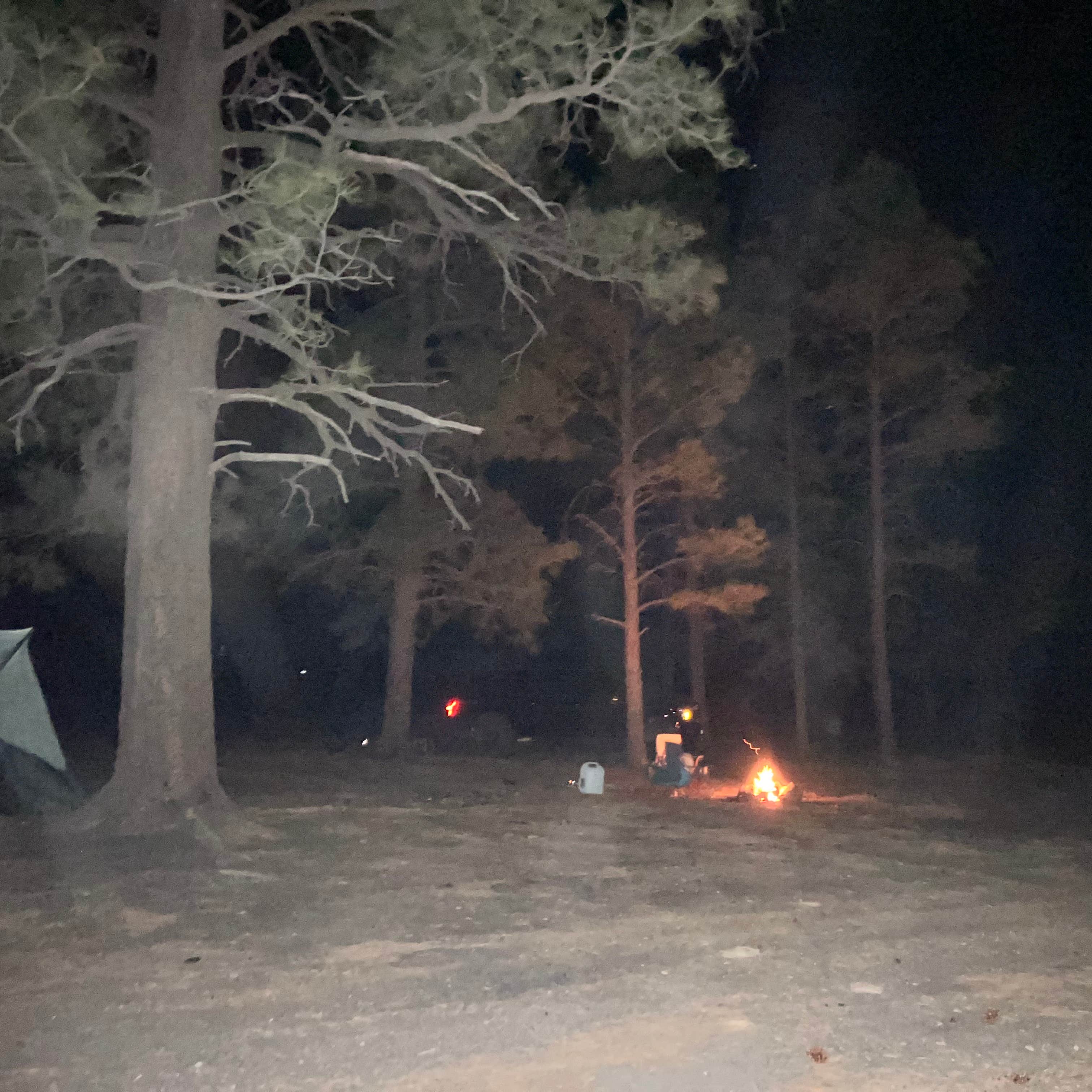 Cinder Hills Off Highway Vehicle Area Camping | Flagstaff, AZ