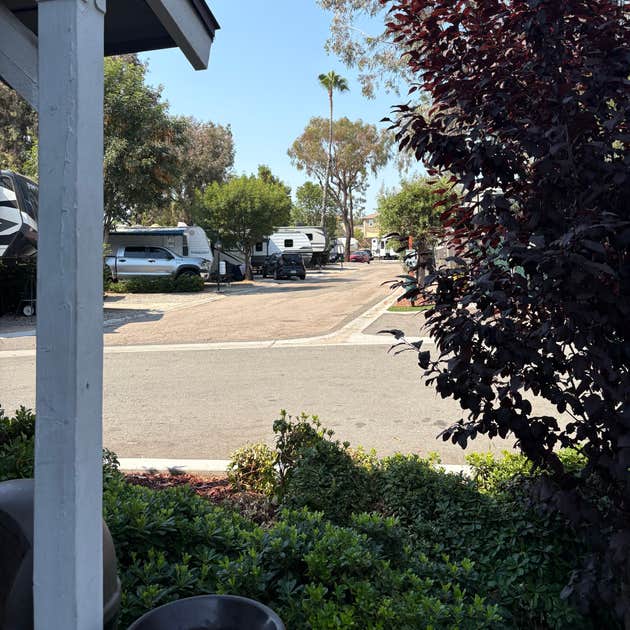 Circle RV Resort | San Diego, California