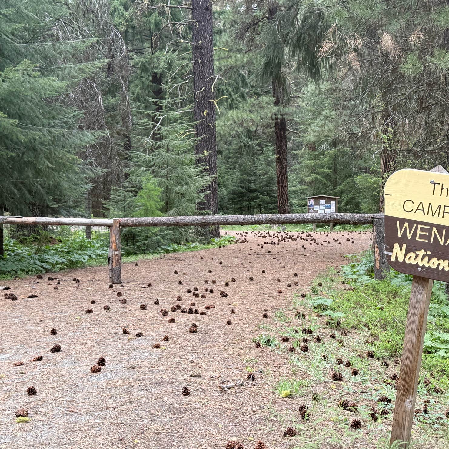 Clear Lake Campgrounds | Goose Prairie, Washington