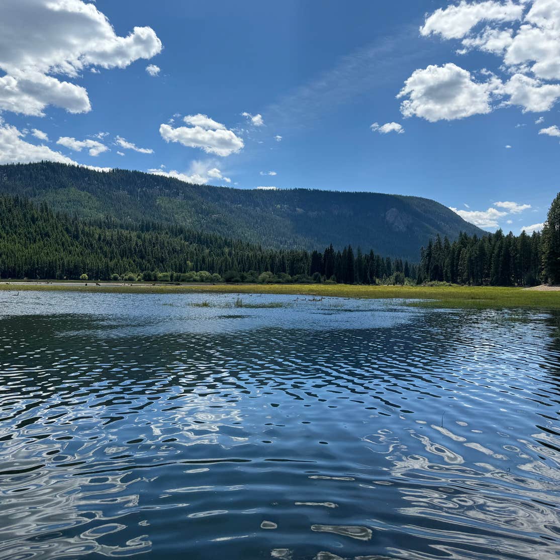 Clear Lake Campgrounds | Goose Prairie, Washington