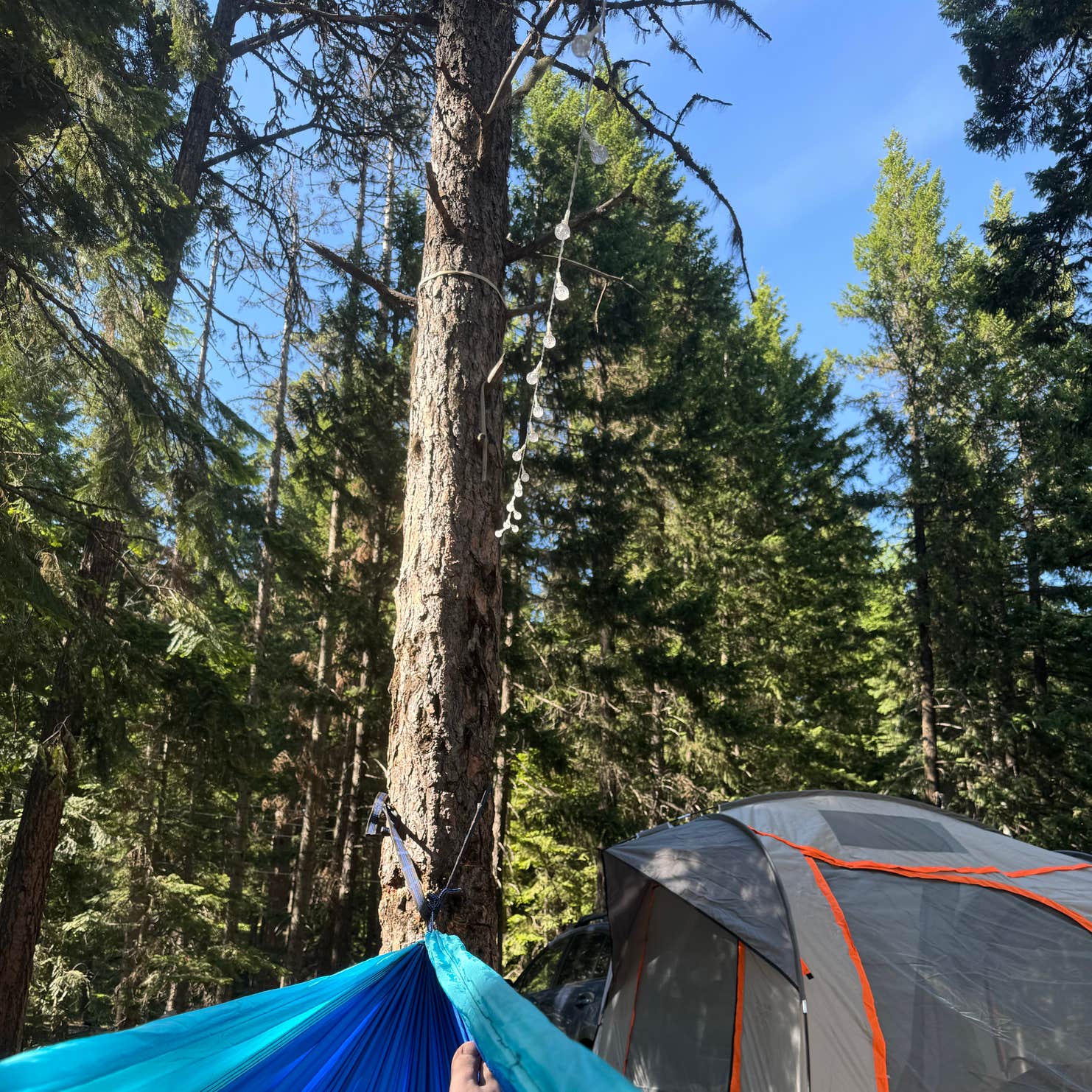Clear Lake Campgrounds | Goose Prairie, Washington