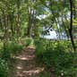Clinton Lake State Recreation Area Camping | De Witt, IL