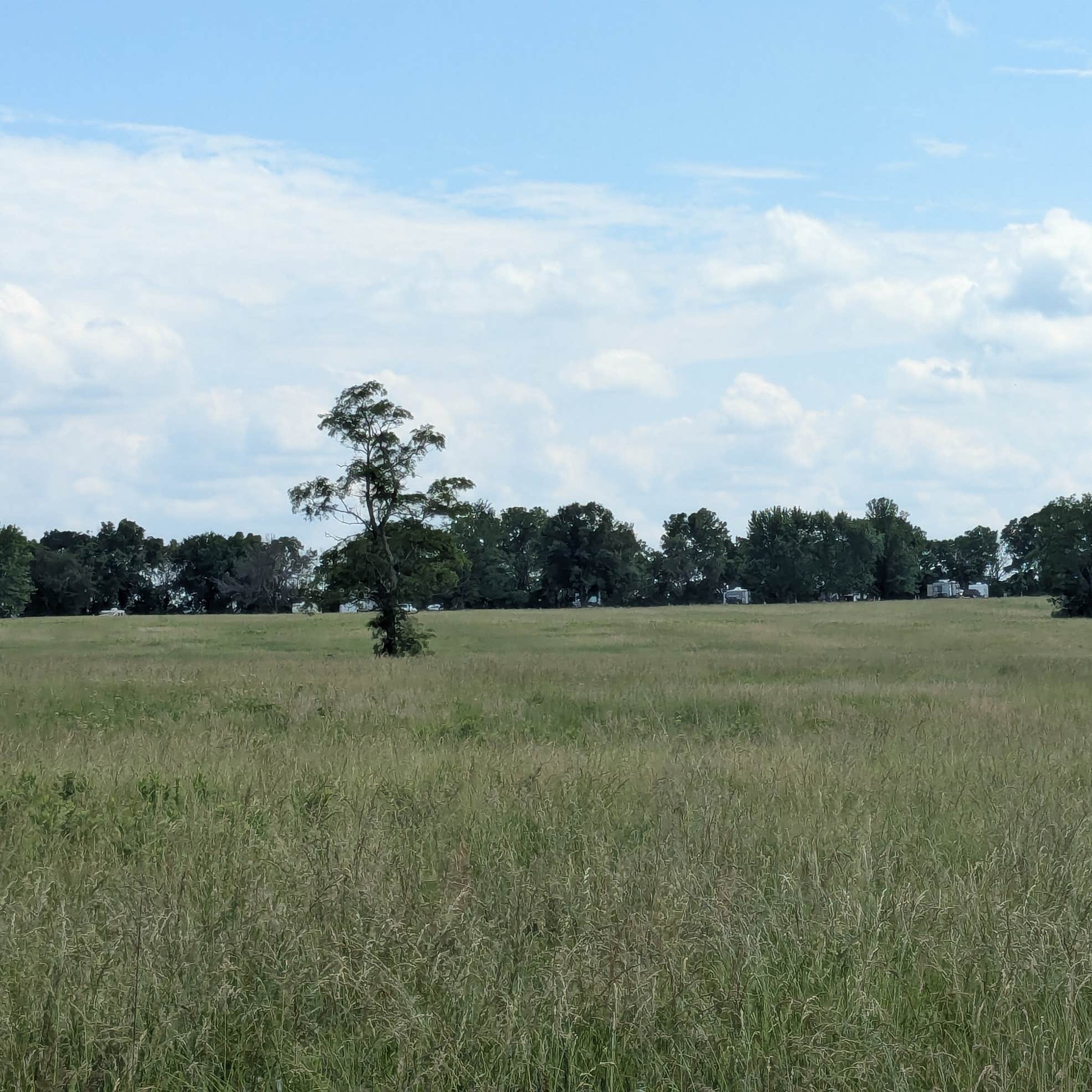 Prairie Clover Campground — Clinton State Park | Lawrence, Kansas