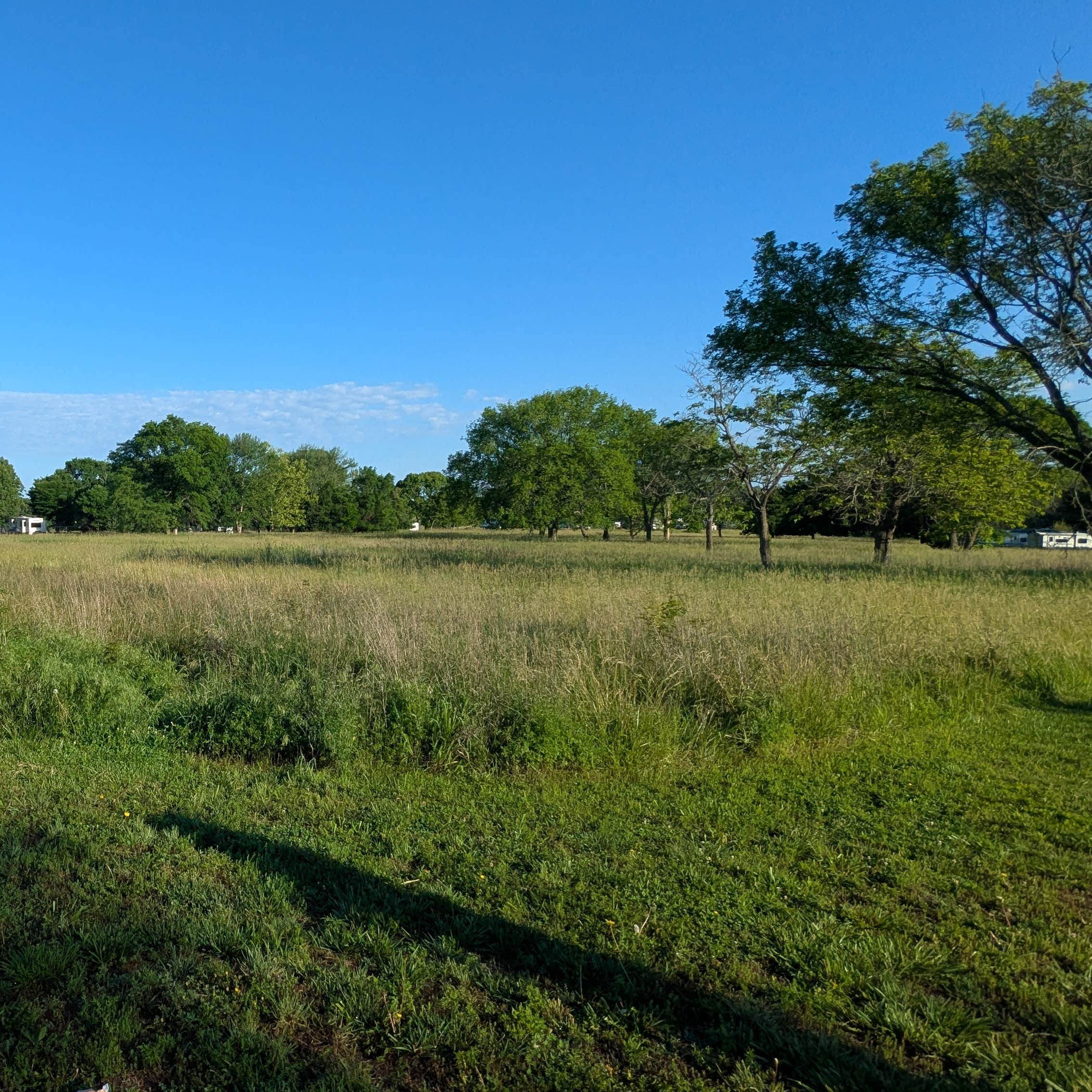 Prairie Clover Campground — Clinton State Park | Lawrence, Kansas