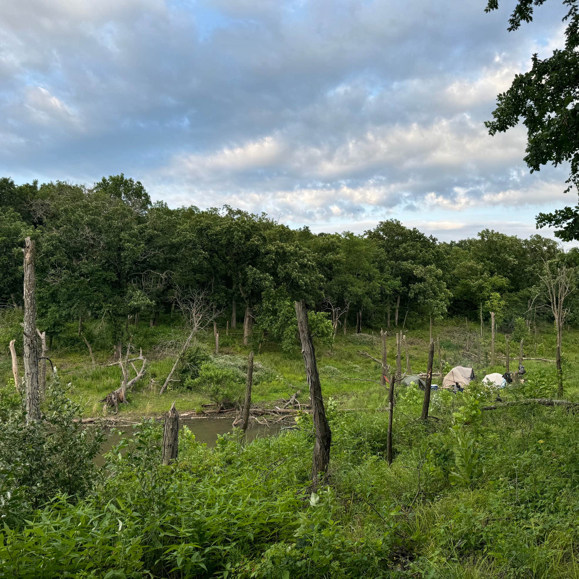 Prairie Clover Campground — Clinton State Park | Lawrence, Kansas