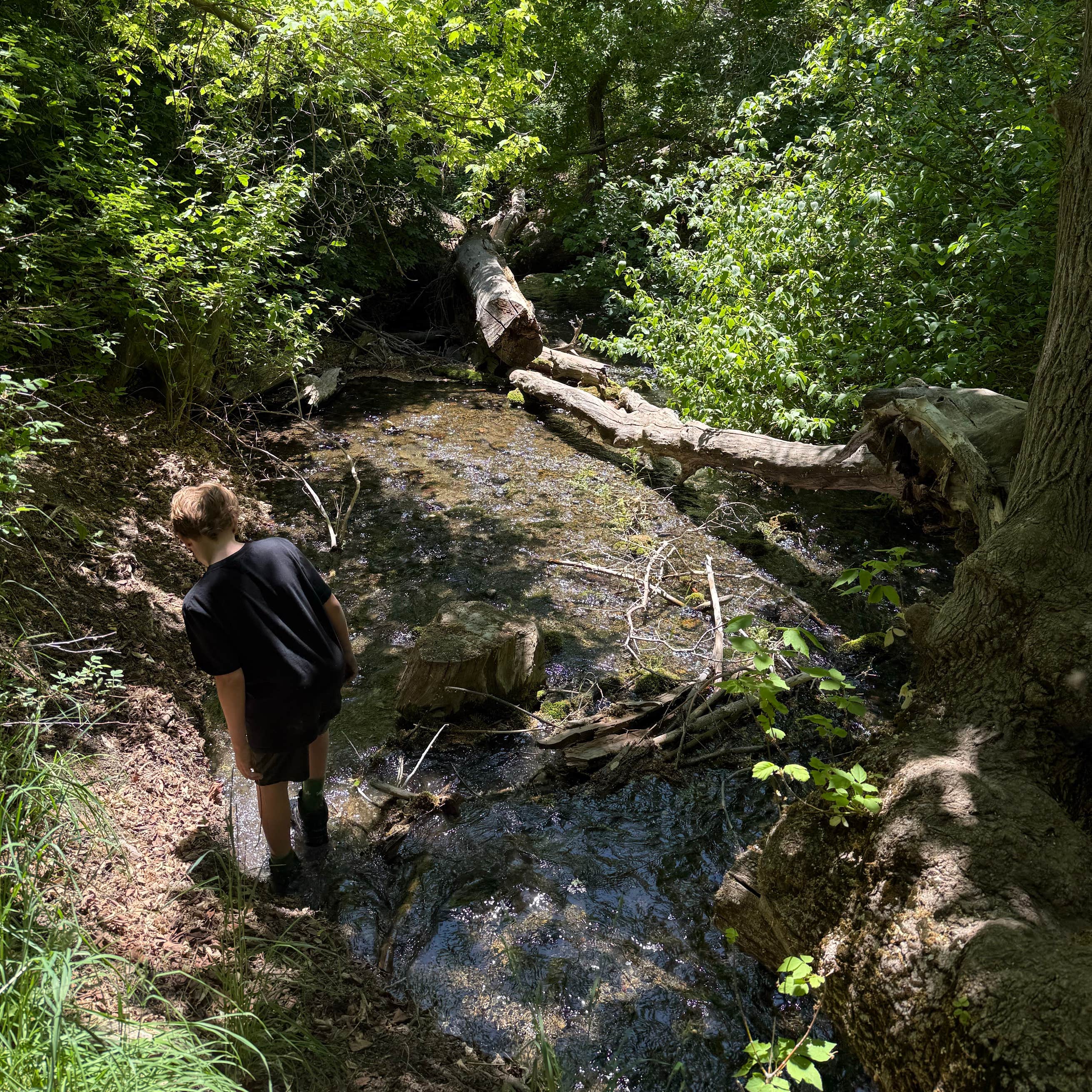 Clover Springs Campground — Salt Lake Field Office | Rush Valley, Utah