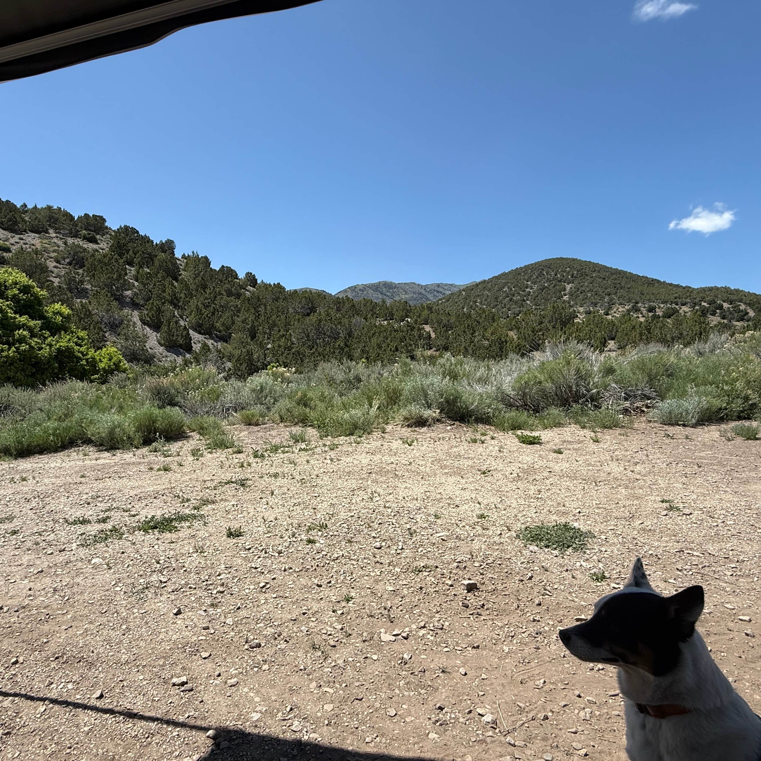 Clover Springs Campground — Salt Lake Field Office | Rush Valley, Utah