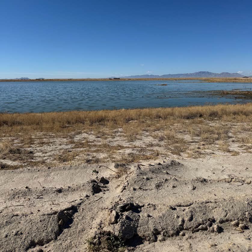 Cochise Lake Wildlife Viewing Area Dispersed Camping | Willcox, Arizona