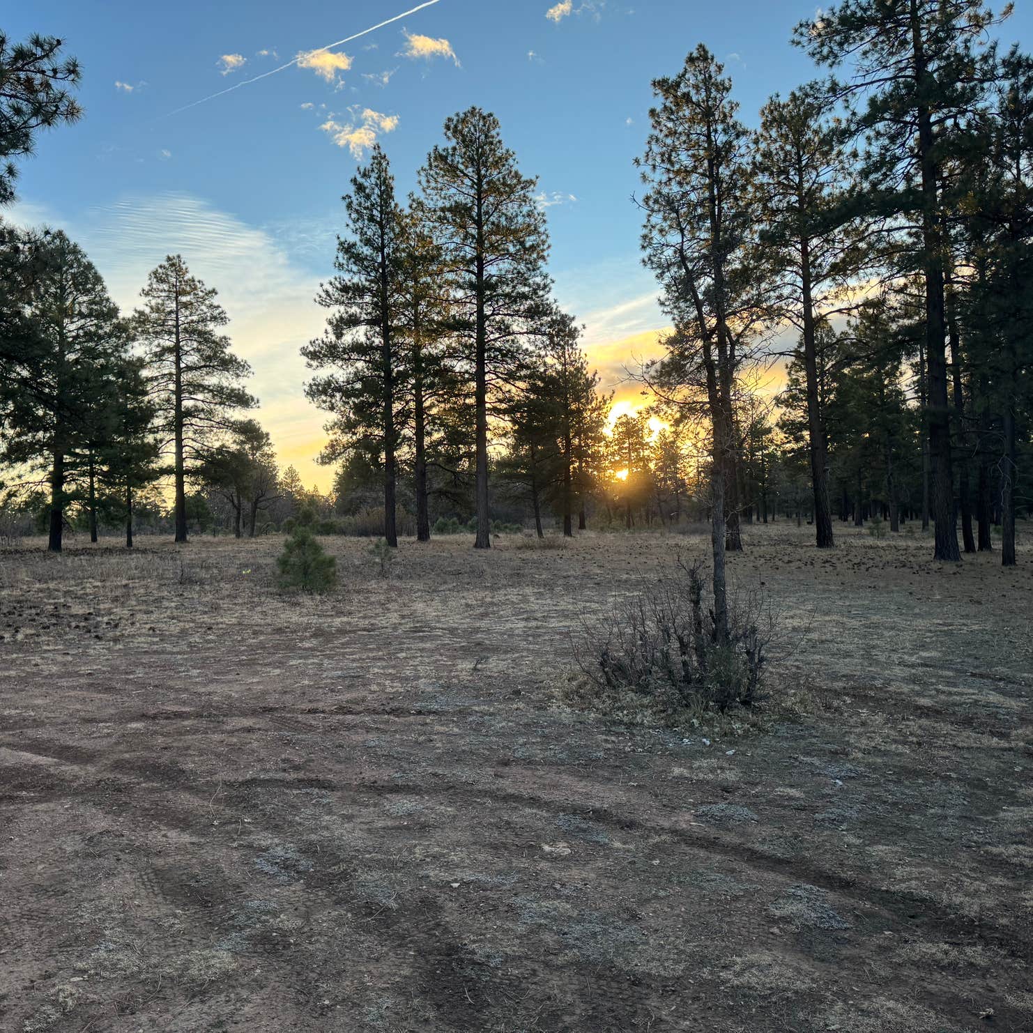 Coconino Rim Road Dispersed Camping | Grand Canyon, Arizona