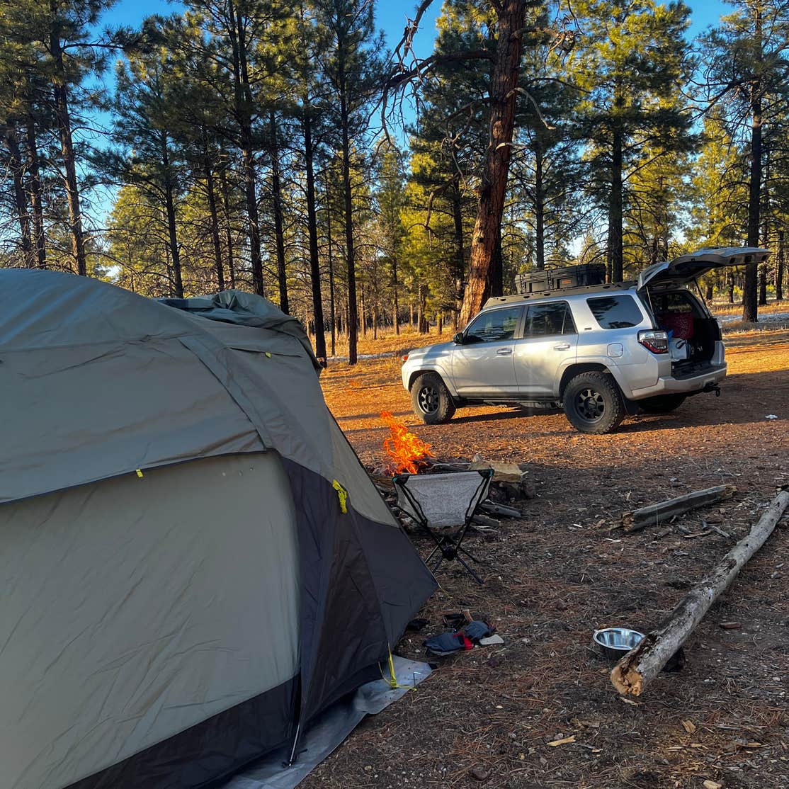 Coconino Rim Road Dispersed Camping | Grand Canyon, Arizona