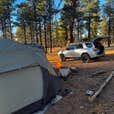 Coconino Rim Road Dispersed Camping | Grand Canyon, Arizona