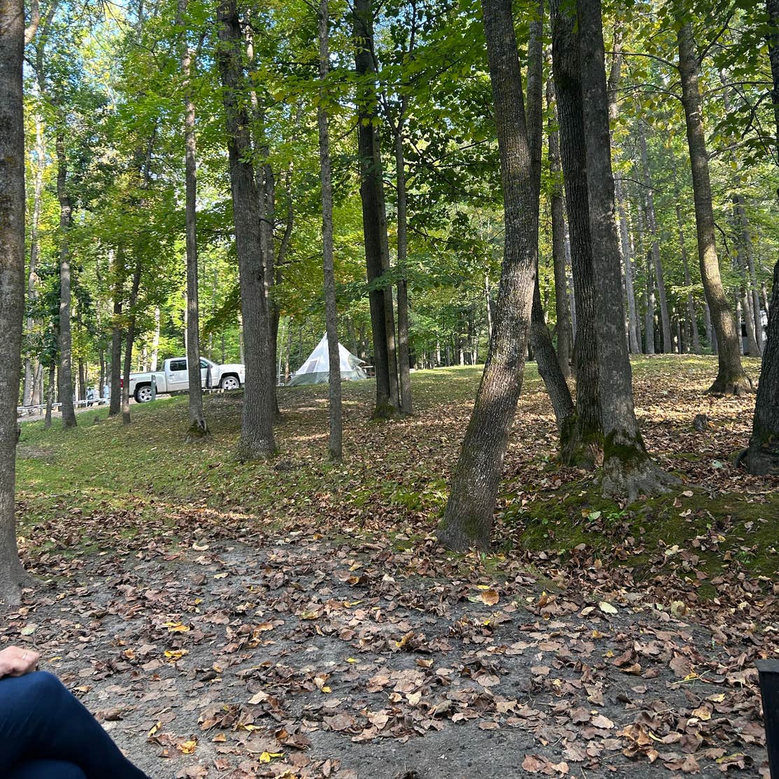 COE Leech Lake Reservoir Leech Lake Recreation Area Camping | Federal ...