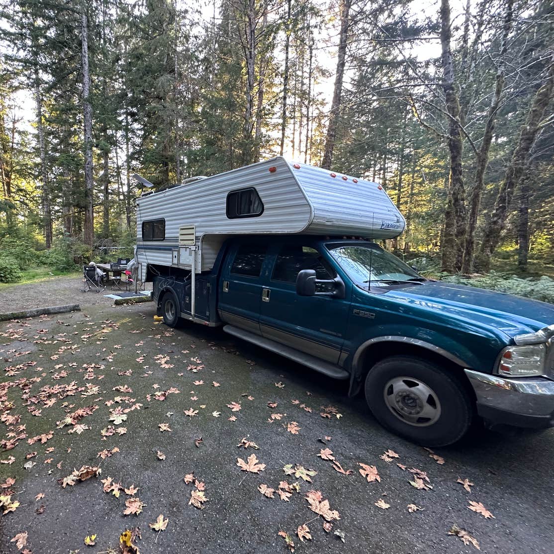 Coho Campground | Quinault, Washington