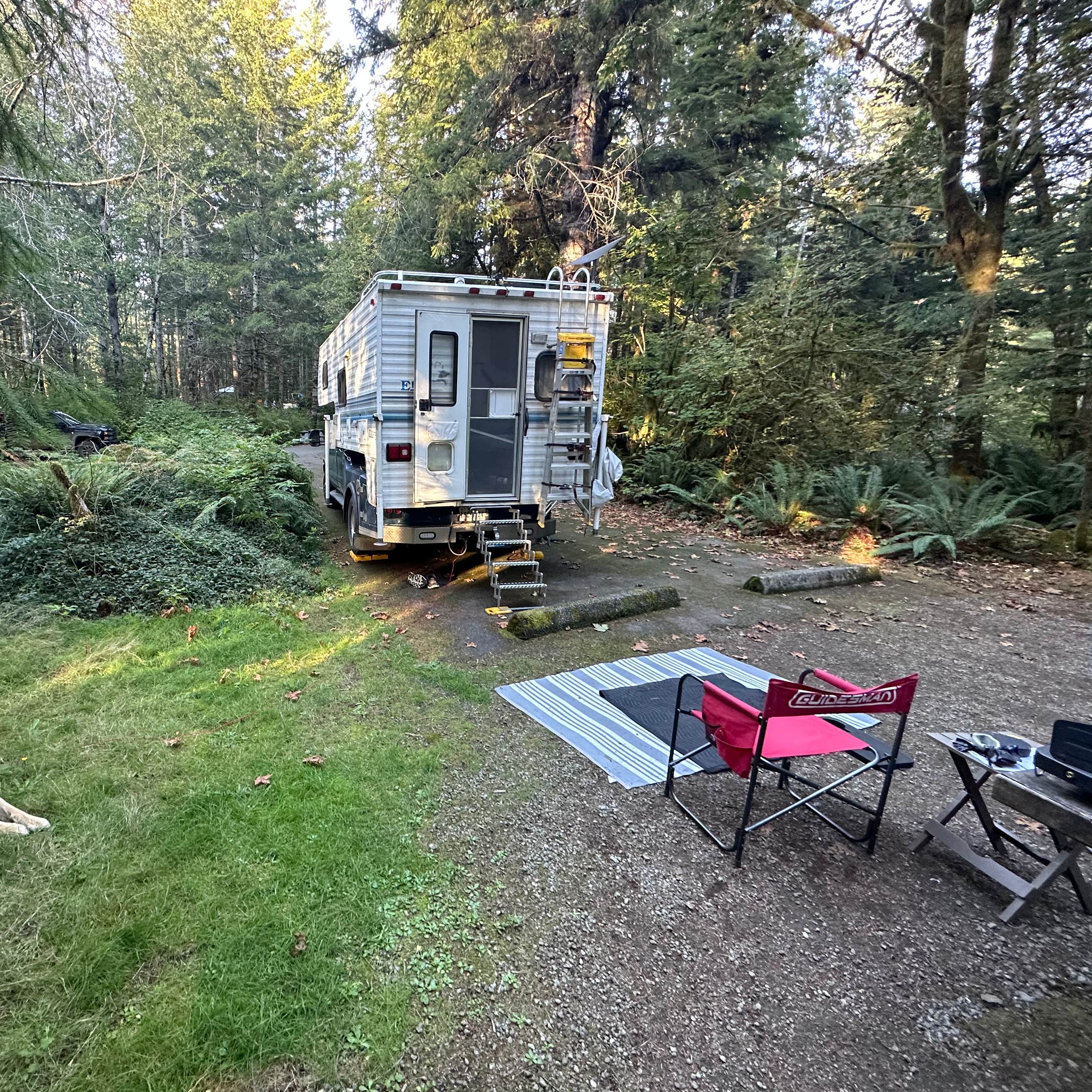 Coho Campground | Quinault, Washington